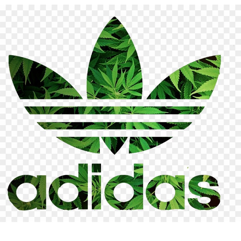 FELIX SHOP - Lẻ Rẻ Hơn Buôn, Cửa hàng trực tuyến | Shopee Việt Nam