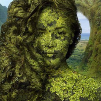 letram natural herbs, Cửa hàng trực tuyến | Shopee Việt Nam