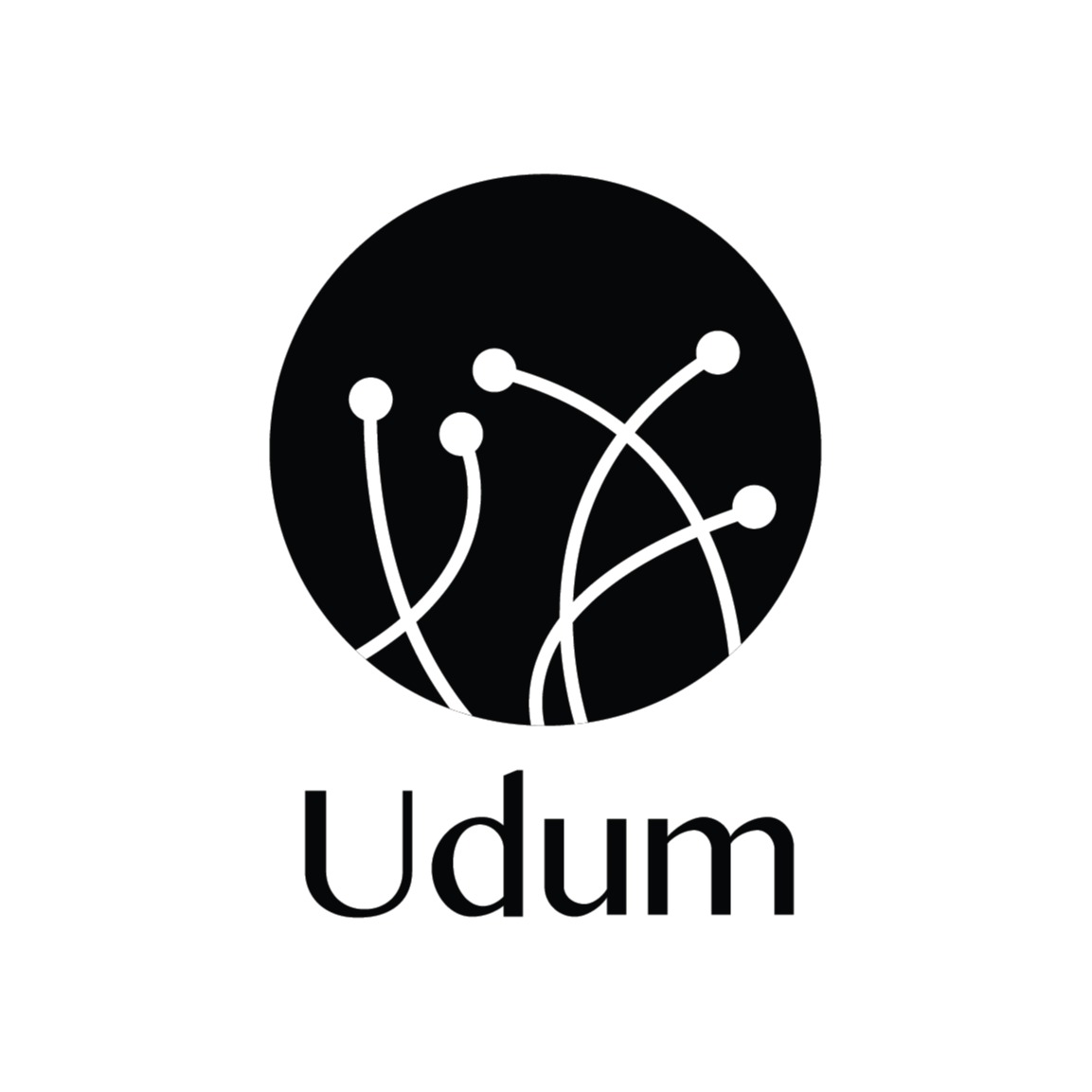 Trang sức phong thủy UDUM - Shopee Mall Online | Shopee Việt Nam