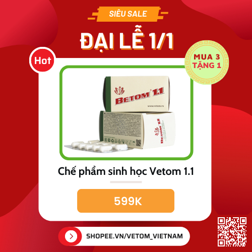 Vetom Vietnam, Cửa hàng trực tuyến | Shopee Việt Nam
