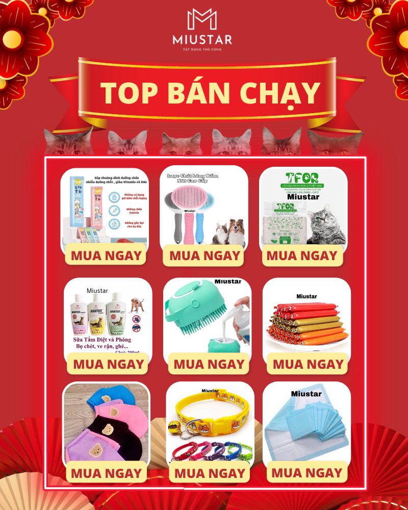 Miustar, Cửa hàng trực tuyến | Shopee Việt Nam