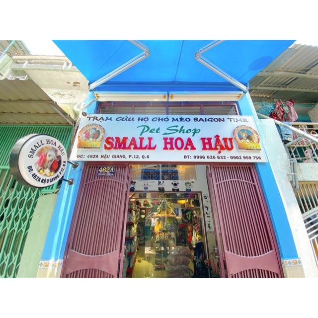 Small hoa hậu petshop, Cửa hàng trực tuyến | Shopee Việt Nam