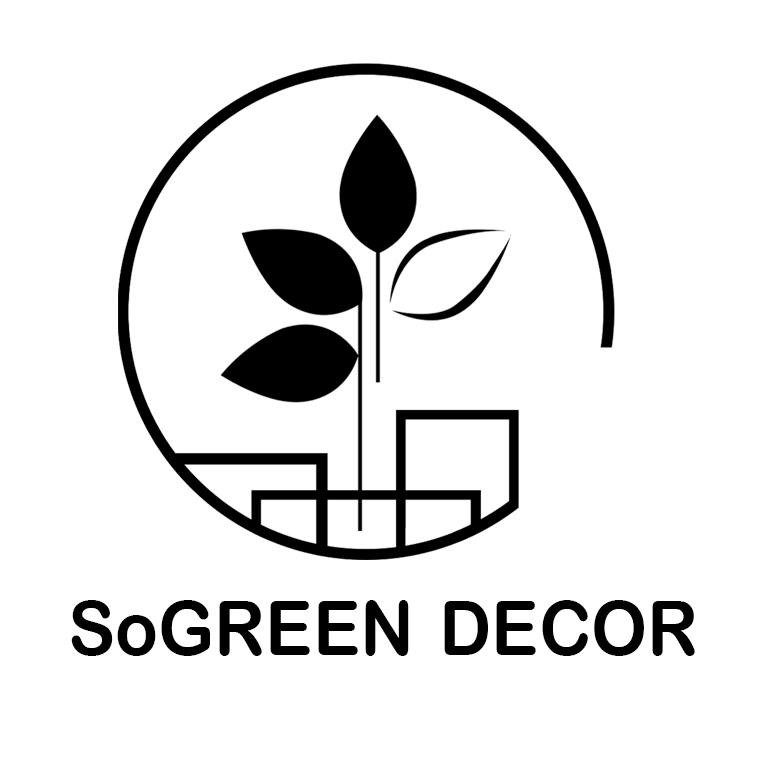 SoGREEN, Cửa hàng trực tuyến | Shopee Việt Nam