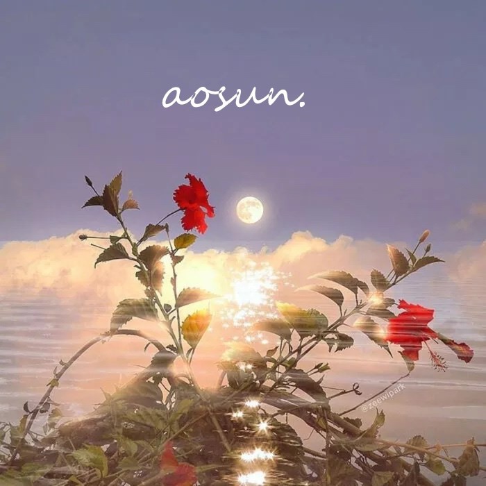 aosun.vn, Cửa hàng trực tuyến | Shopee Việt Nam