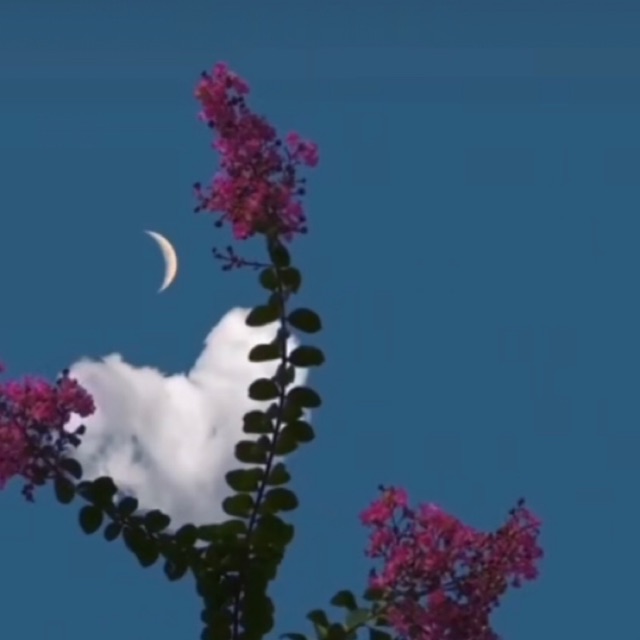 Saman shop, Cửa hàng trực tuyến | Shopee Việt Nam