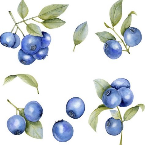 blueberry.b, Cửa hàng trực tuyến | Shopee Việt Nam