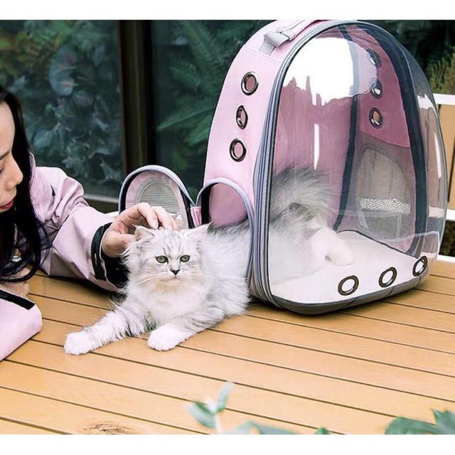 Leon pet shop, Cửa hàng trực tuyến | Shopee Việt Nam