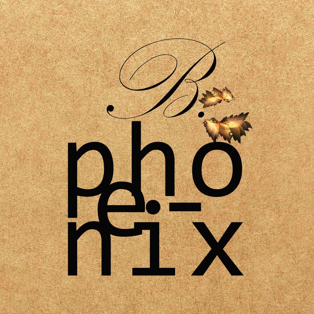 B.Phoenix Cosmetics, Cửa hàng trực tuyến | Shopee Việt Nam