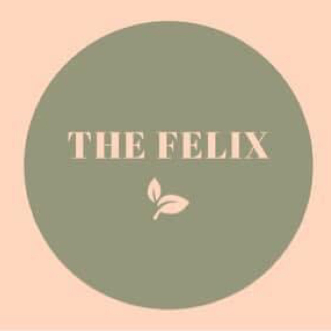 The Felix Shop, Cửa hàng trực tuyến | Shopee Việt Nam