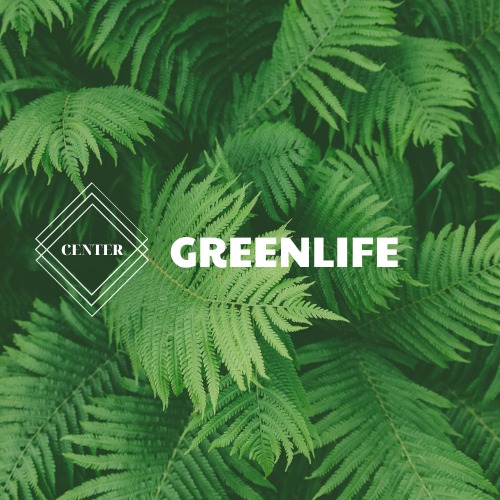 Cây Cảnh - GreenLife, Cửa hàng trực tuyến | Shopee Việt Nam