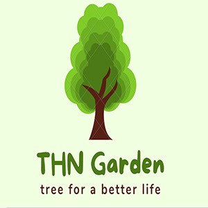 HANK Landscape, Cửa hàng trực tuyến | Shopee Việt Nam