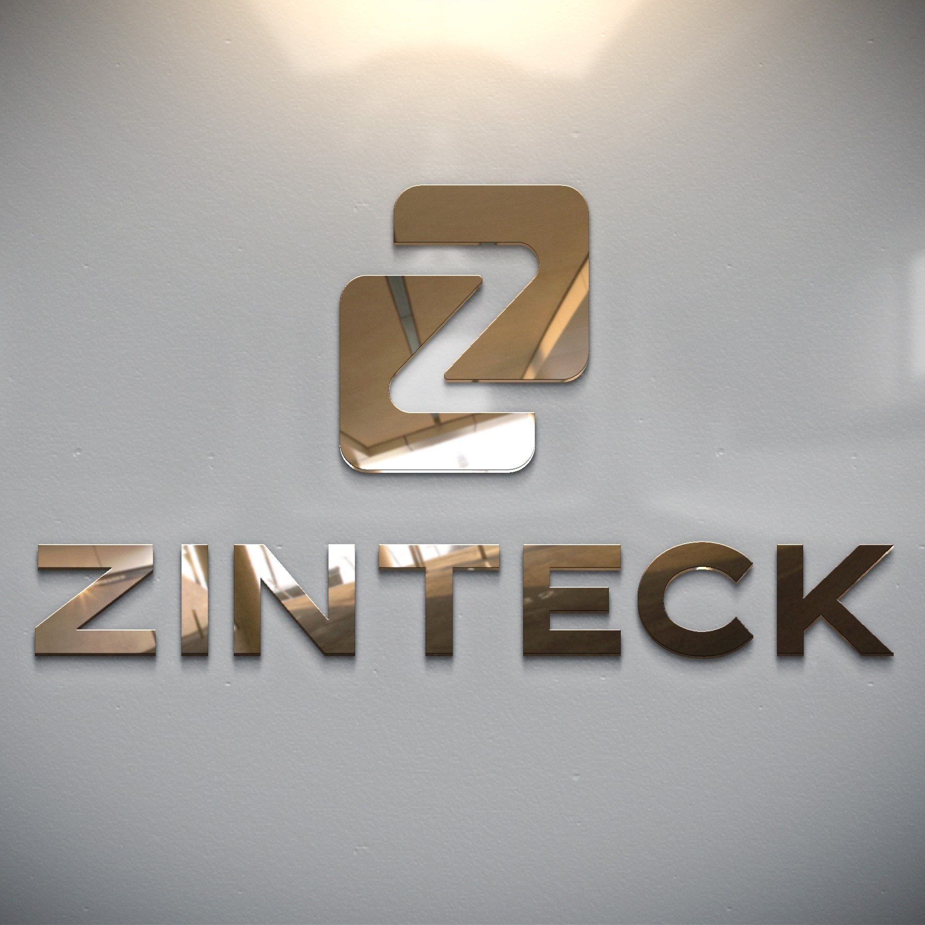 Zinteck - Shopee Mall Online | Shopee Việt Nam