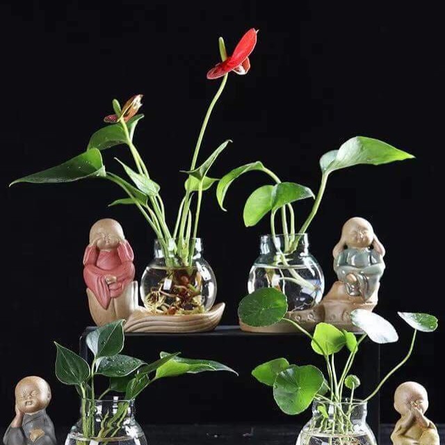 Songtam_shop, Cửa hàng trực tuyến | Shopee Việt Nam