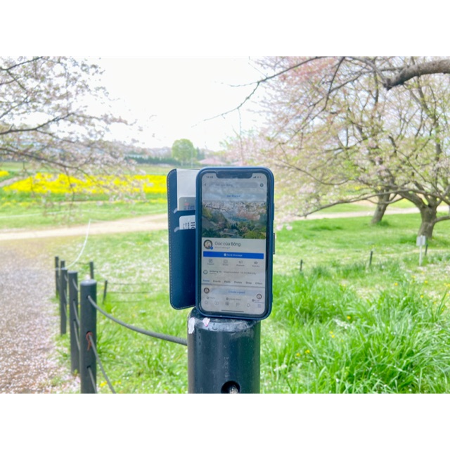 Góc Của Bông - Japan Shop, Cửa hàng trực tuyến | Shopee Việt Nam