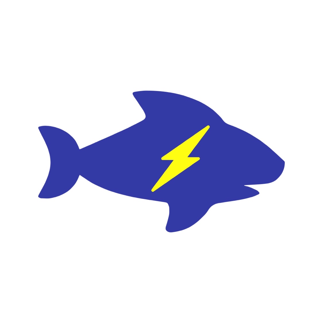 FISH FLASH ORDER, Cửa hàng trực tuyến | Shopee Việt Nam