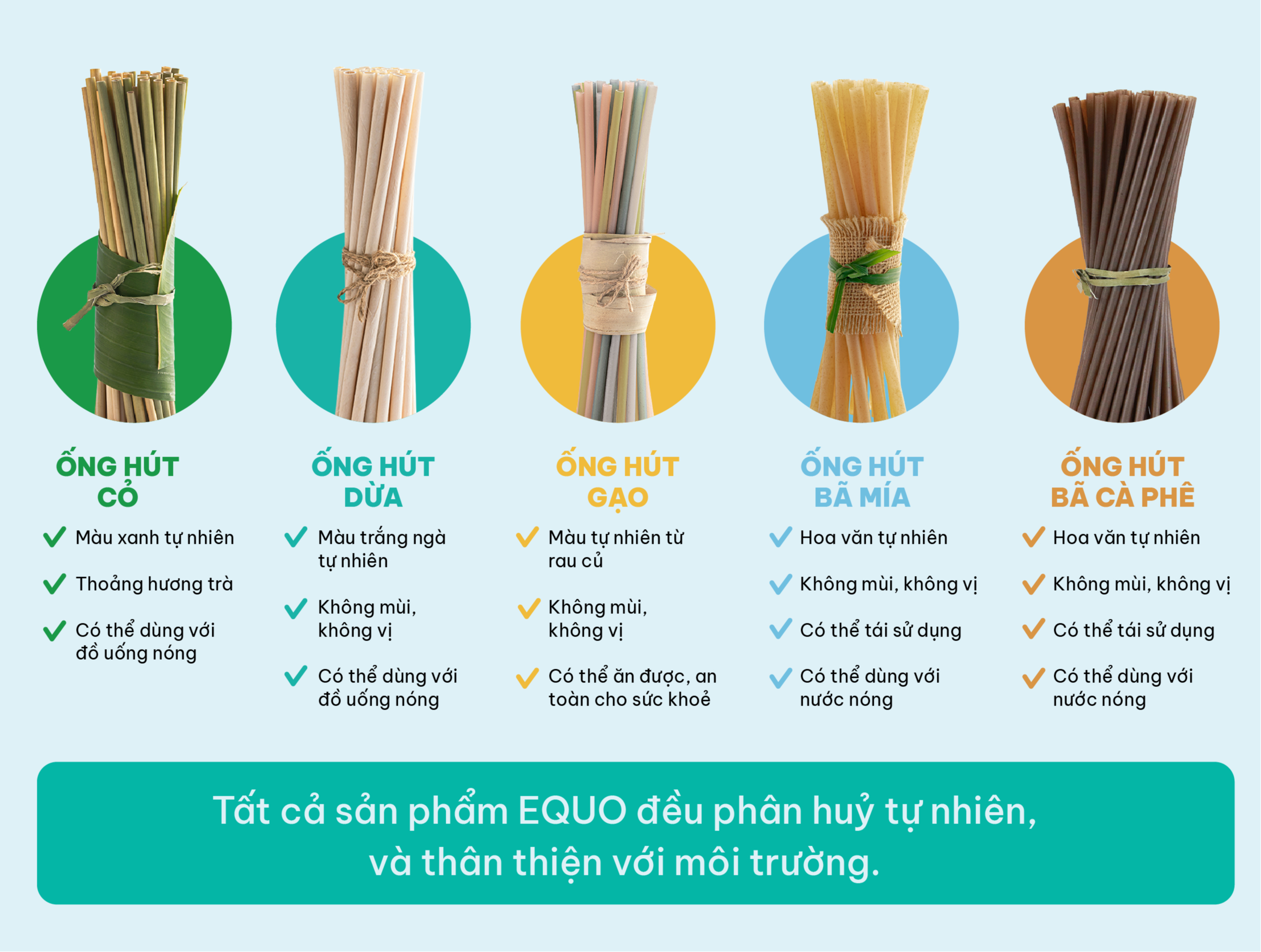 EQUO Official Store - Shopee Mall Online | Shopee Việt Nam