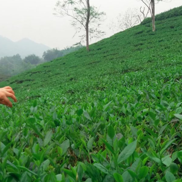 BT216, Cửa hàng trực tuyến | Shopee Việt Nam