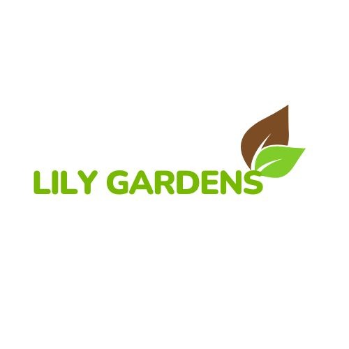 Lily Gardens, Cửa hàng trực tuyến | Shopee Việt Nam