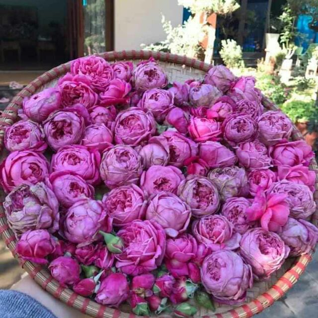 VAN LUU FLAGSHIP STORE, Cửa hàng trực tuyến | Shopee Việt Nam