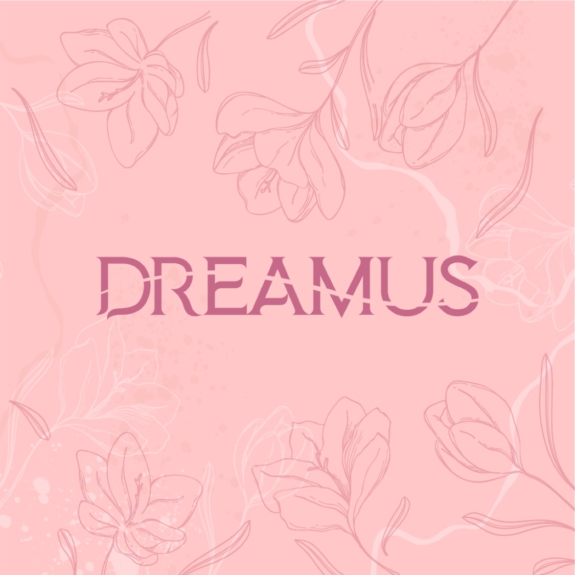 DREAMUS.STUDIO, Cửa hàng trực tuyến | Shopee Việt Nam