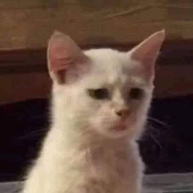 Kay&Tee Shop, Cửa hàng trực tuyến | Shopee Việt Nam