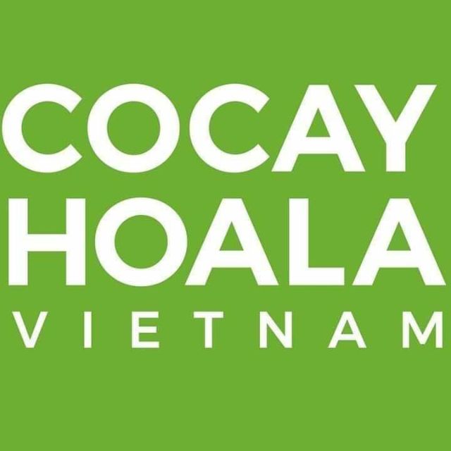 cocayhoala_TT01237, Cửa hàng trực tuyến | Shopee Việt Nam