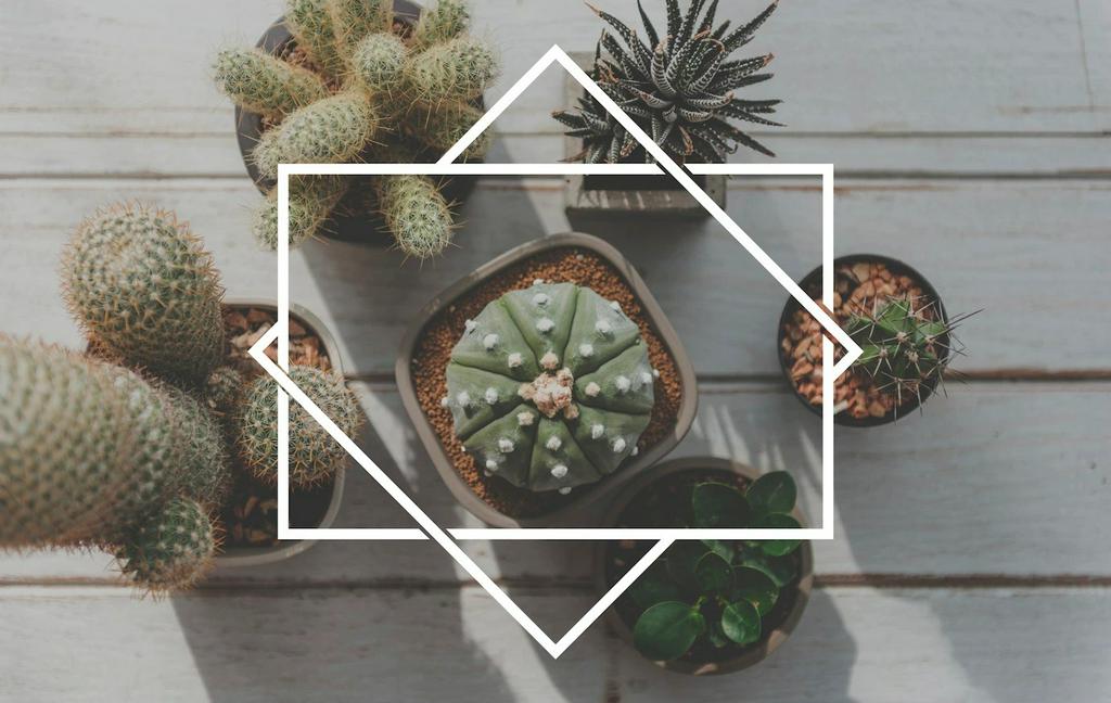 soen_shop, Cửa hàng trực tuyến | Shopee Việt Nam