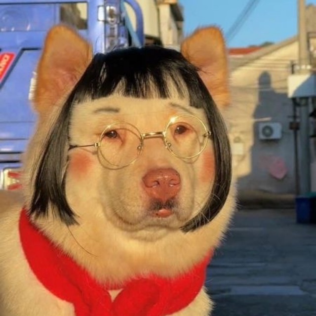 Tiệm Giày Của Bé Heo, Cửa hàng trực tuyến | Shopee Việt Nam