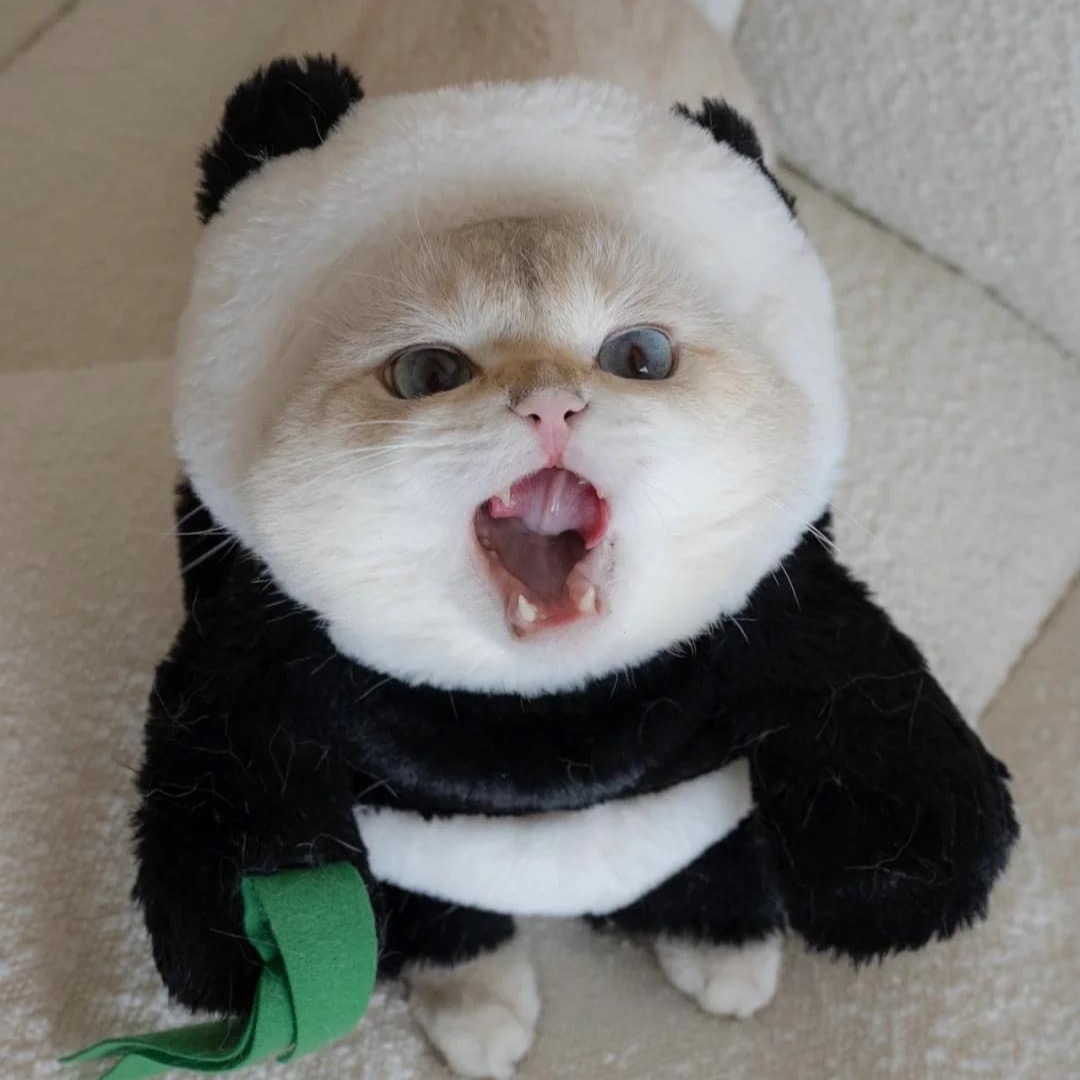 Happy Pet Shop 43, Cửa hàng trực tuyến | Shopee Việt Nam