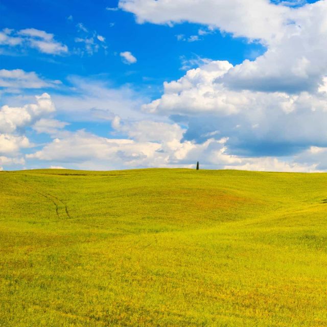 xxxax, Cửa hàng trực tuyến | Shopee Việt Nam