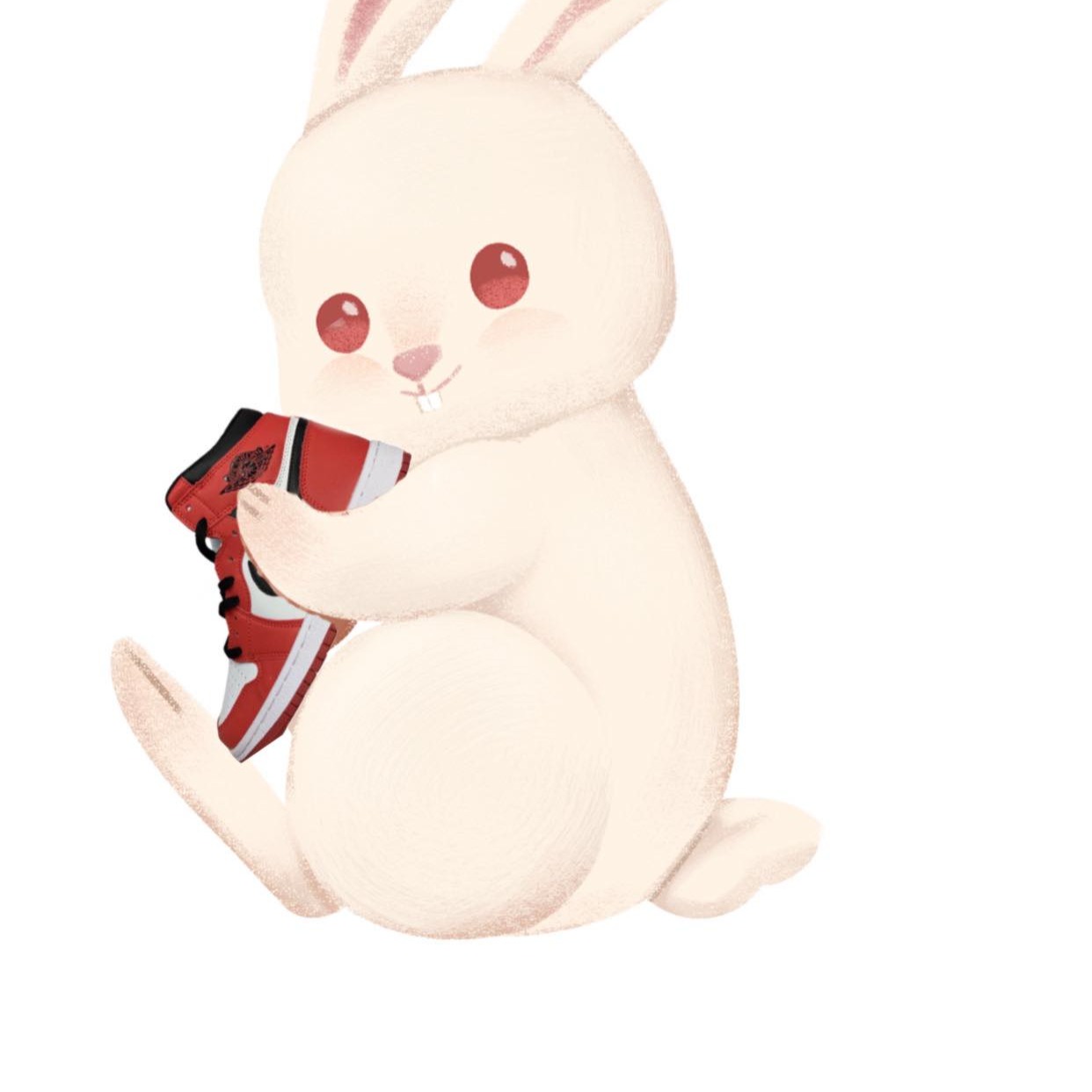 Rabbit Store-Han Doan Sneaker, Cửa hàng trực tuyến | Shopee Việt Nam