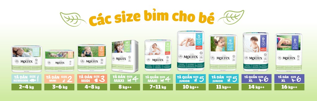 Moltex Official Store, Cửa hàng trực tuyến | Shopee Việt Nam
