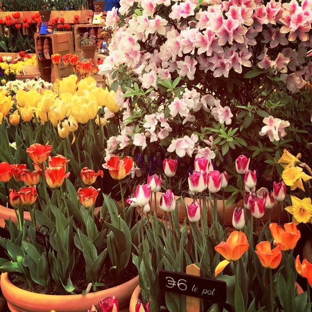 Jebon, Cửa hàng trực tuyến | Shopee Việt Nam