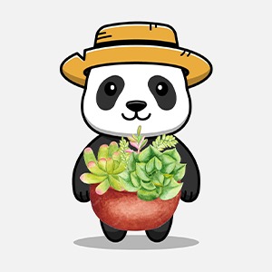 Vườn Sen Đá PANDAA GARDEN, Cửa hàng trực tuyến | Shopee Việt Nam