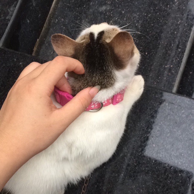 hanh11062002, Cửa hàng trực tuyến | Shopee Việt Nam