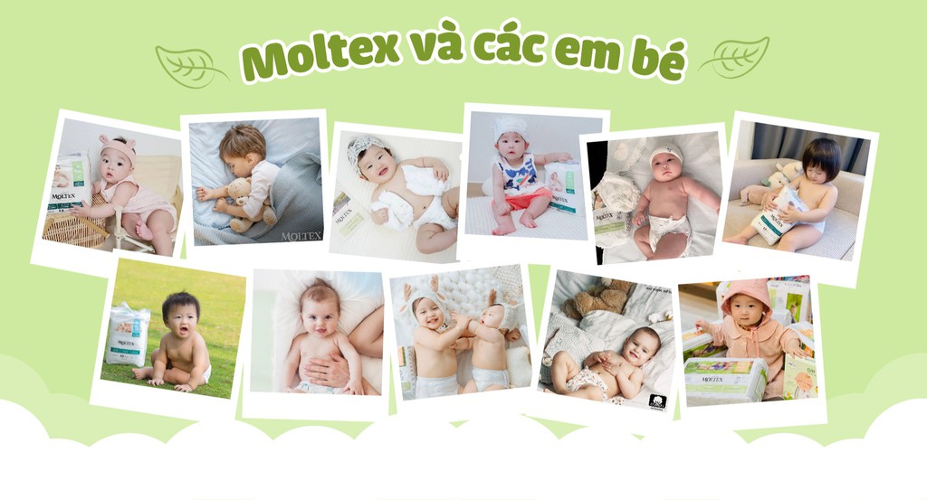 Moltex Official Store, Cửa hàng trực tuyến | Shopee Việt Nam