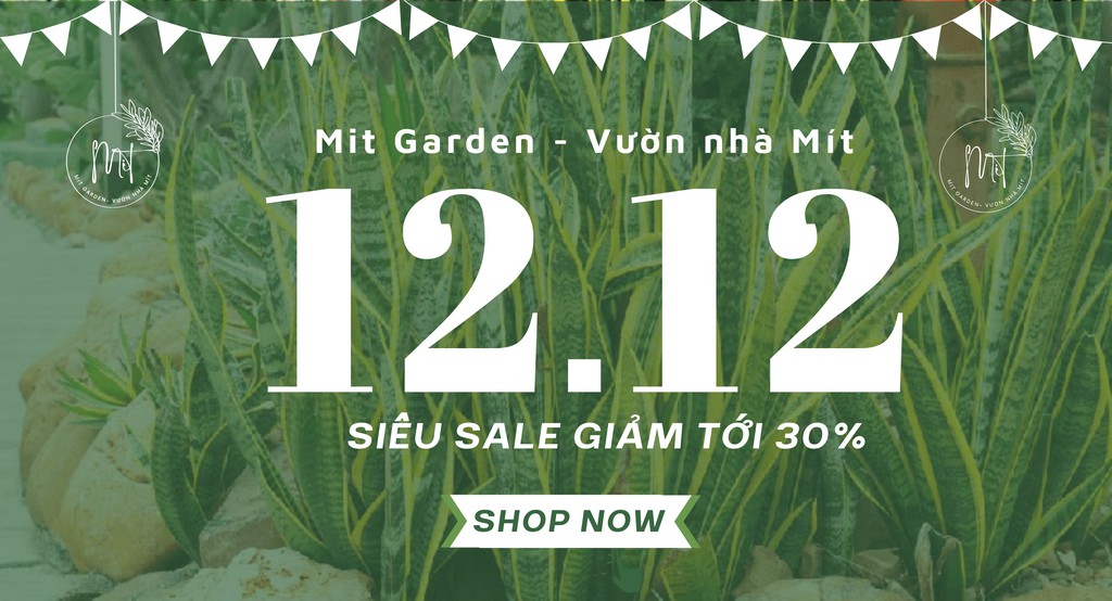 Mit Garden - Vườn nhà Mit, Cửa hàng trực tuyến | Shopee Việt Nam