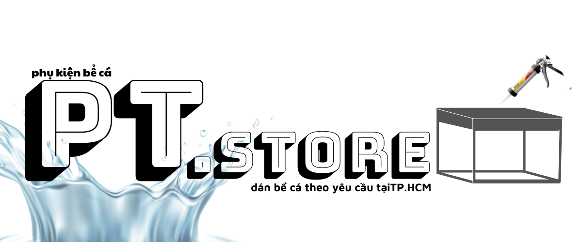 PT STORE bể cá & phụ kiện, Cửa hàng trực tuyến | Shopee Việt Nam