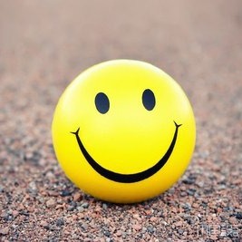 duduli.vn, Cửa hàng trực tuyến | Shopee Việt Nam