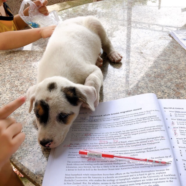 Jilado Boutique, Cửa hàng trực tuyến | Shopee Việt Nam