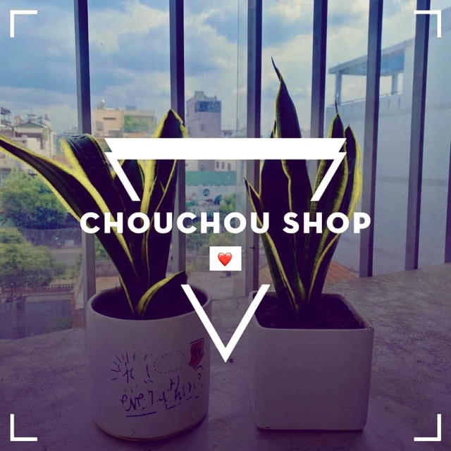 Chouu Chou shop, Cửa hàng trực tuyến | Shopee Việt Nam