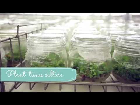 SBC SCIENTIFIC, Cửa hàng trực tuyến | Shopee Việt Nam