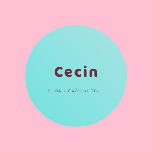 Túi xách CECIN, Cửa hàng trực tuyến | Shopee Việt Nam