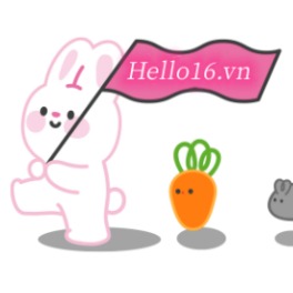 Hello16.vn, Cửa hàng trực tuyến | Shopee Việt Nam