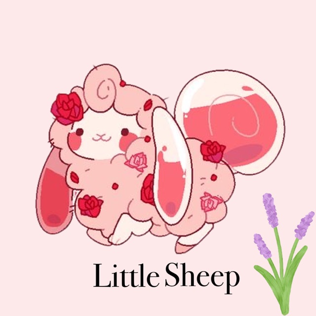 littlesheep.hn, Cửa hàng trực tuyến | Shopee Việt Nam