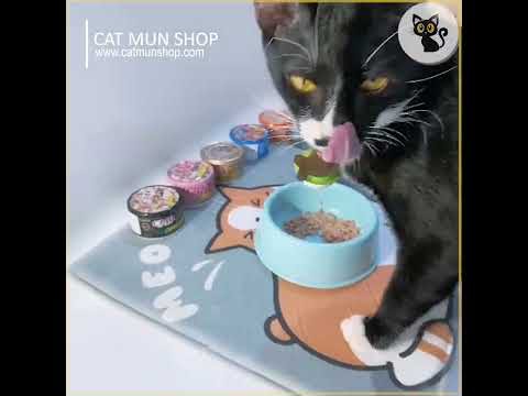 Cat Mun Shop, Cửa hàng trực tuyến | Shopee Việt Nam
