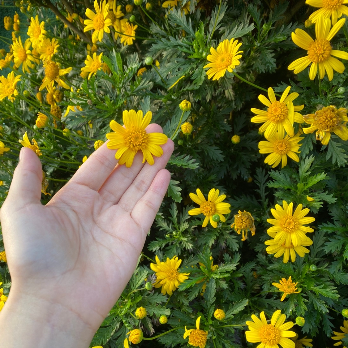 Py-Shop, Cửa hàng trực tuyến | Shopee Việt Nam