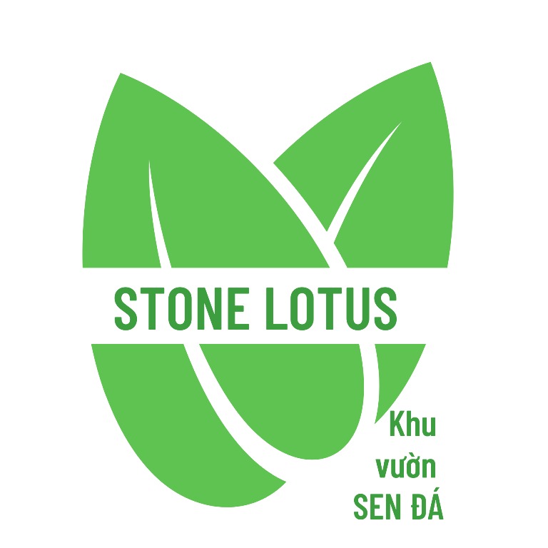STONE LOTUS - Khu vườn sen đá, Cửa hàng trực tuyến | Shopee Việt Nam