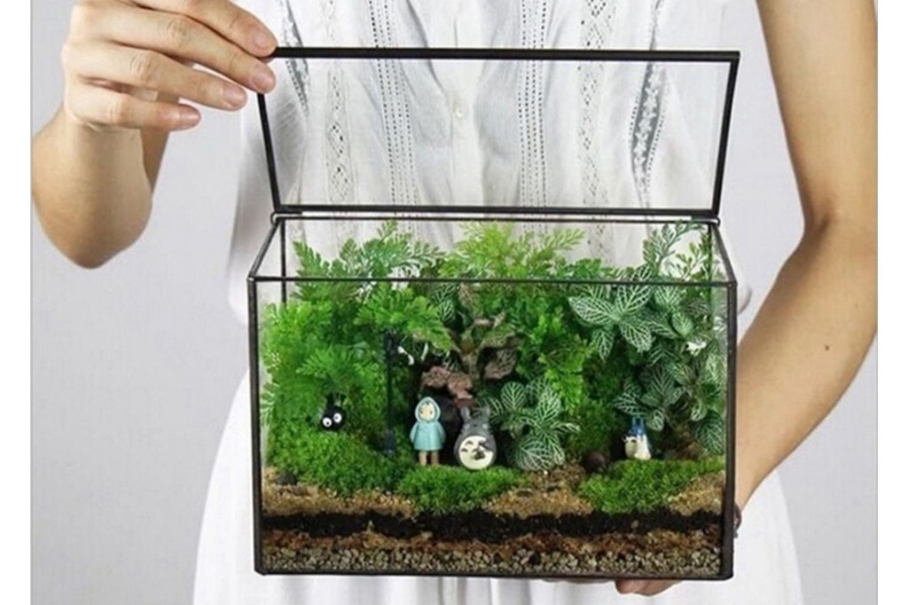 soen_shop, Cửa hàng trực tuyến | Shopee Việt Nam