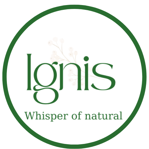 Ignis Vietnam Official, Cửa hàng trực tuyến | Shopee Việt Nam